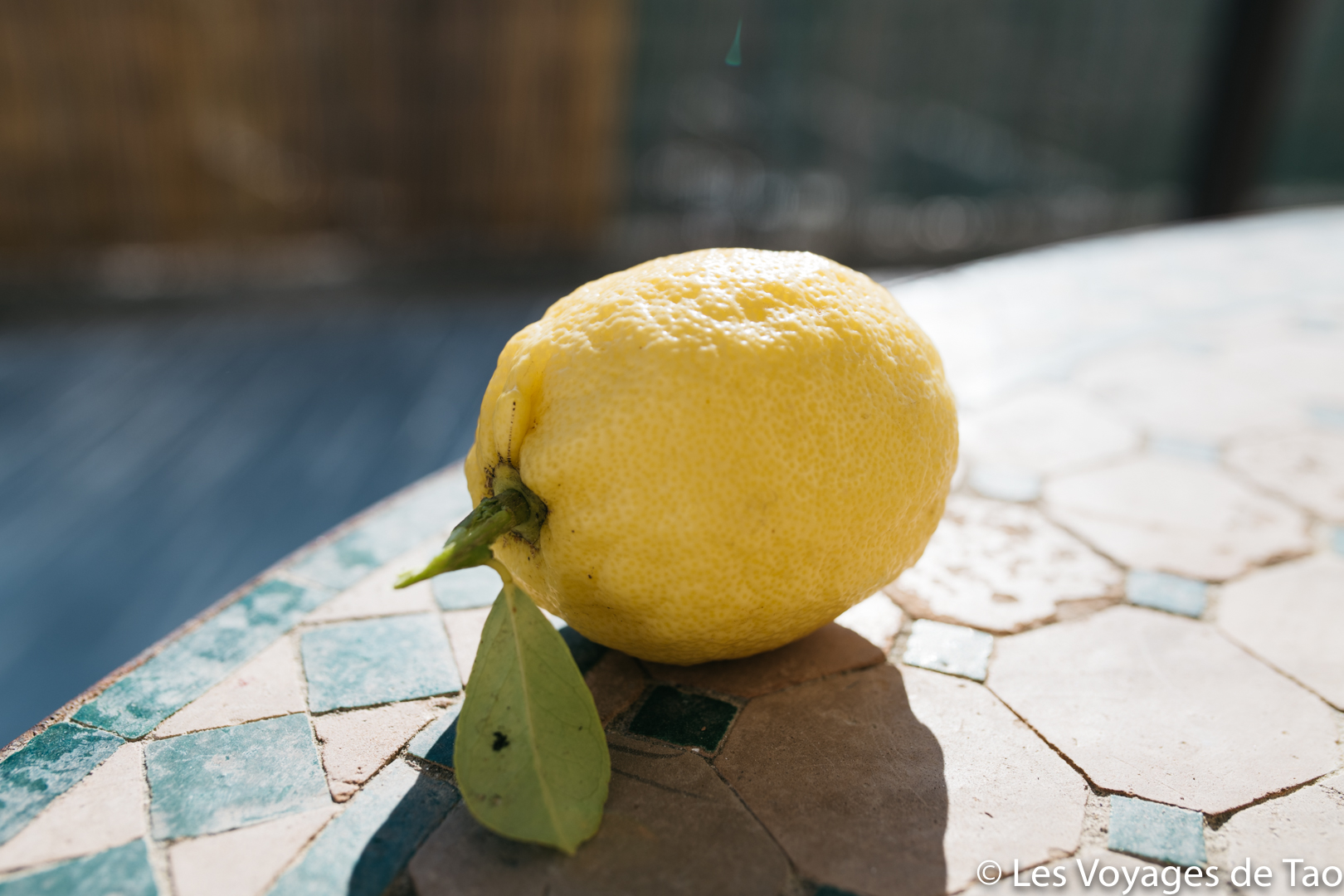 Recette de Sirop de citron maison - Les voyages de Tao